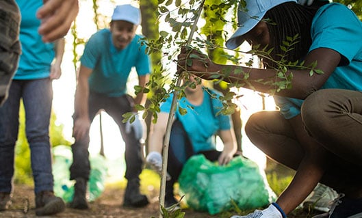 Transform Your Community